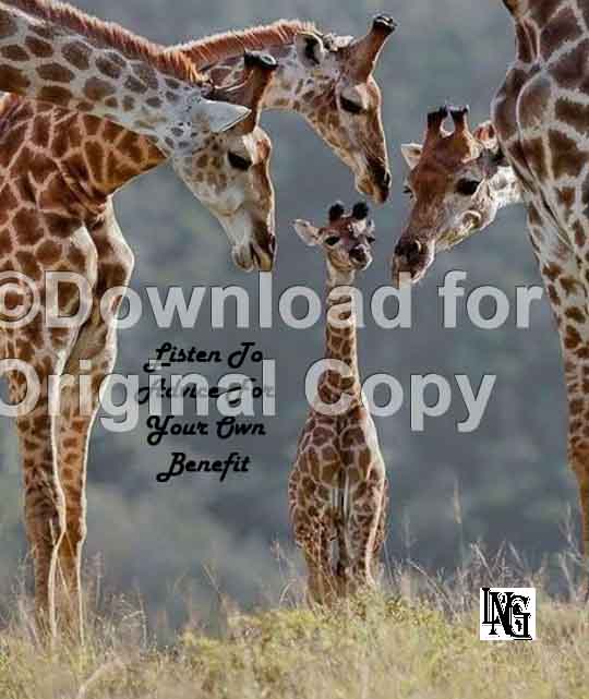 L27-2023 – GlobalLifeLessons