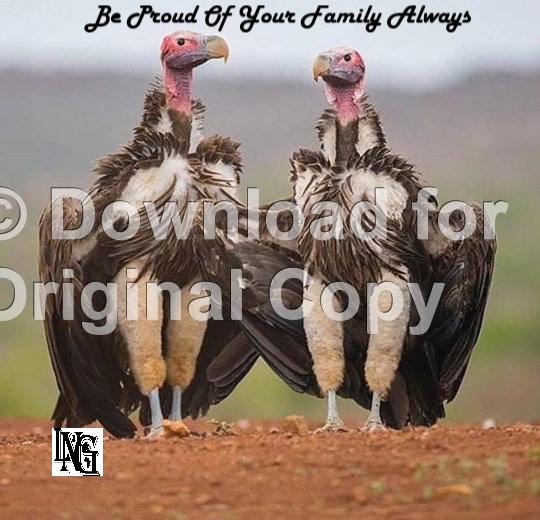 L98-2023 – GlobalLifeLessons